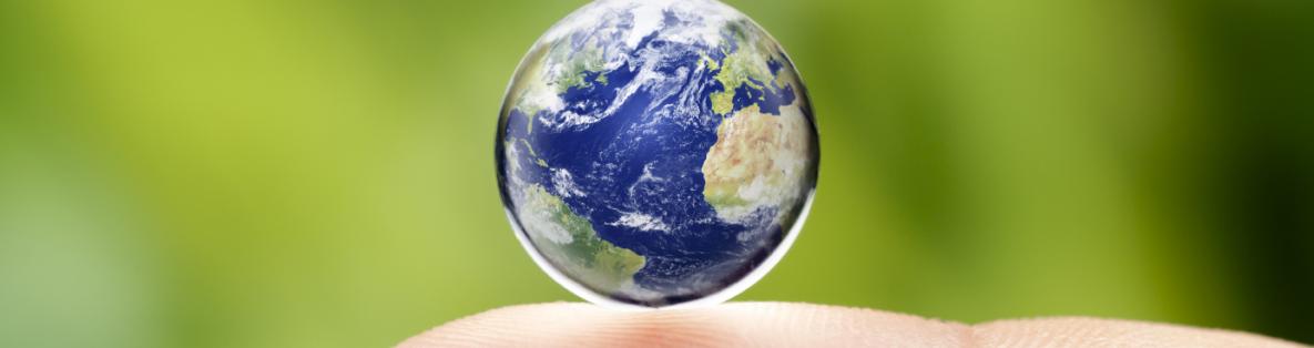 Homepage - Peace Studies